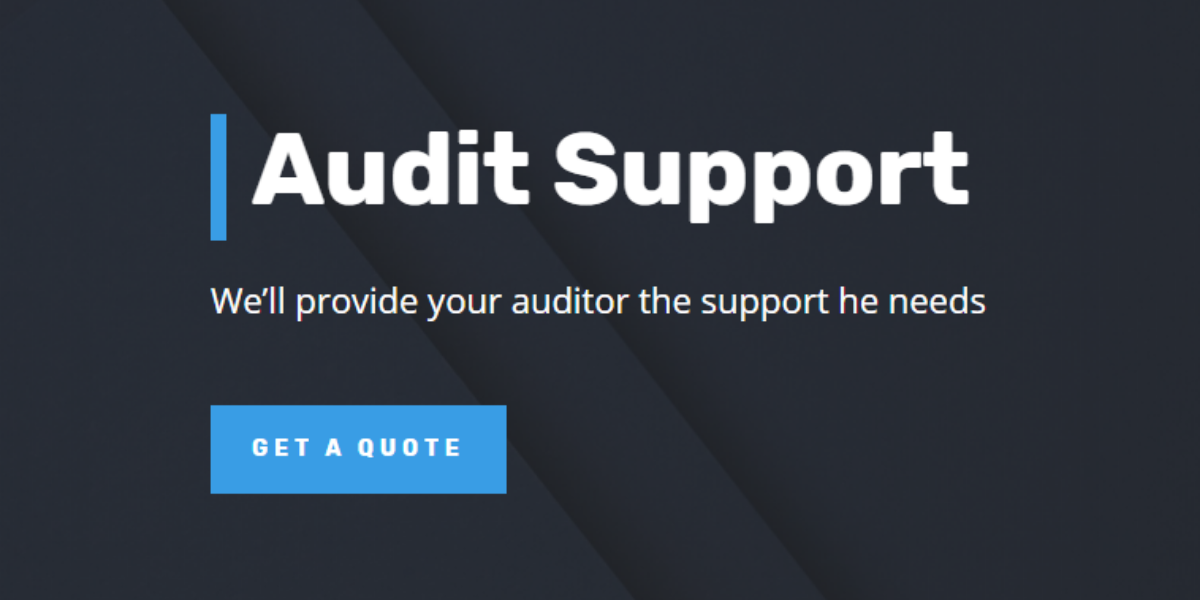 Audit Support - LedgerBench